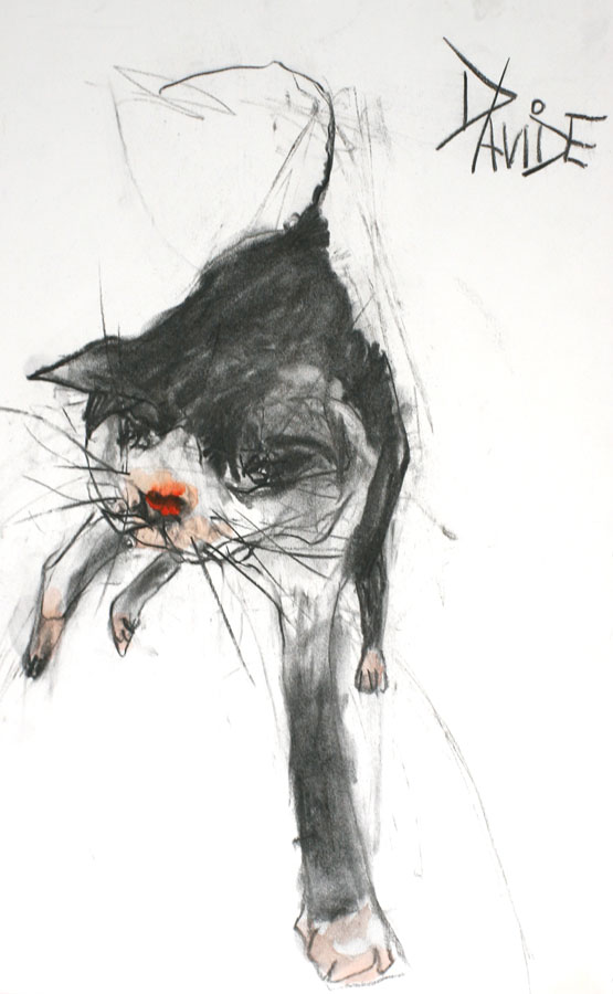 Valerie Davide Cats originals