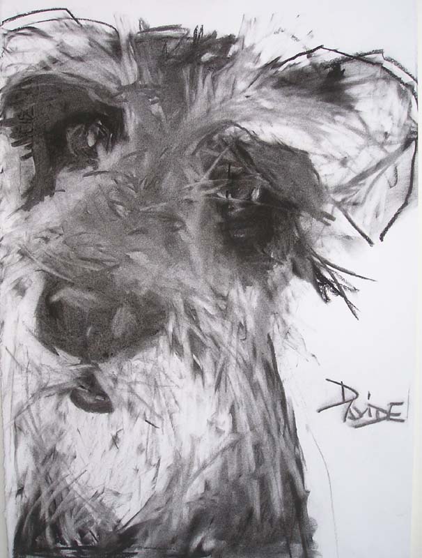 Valerie Davide | Prints | Davidson Fine Art