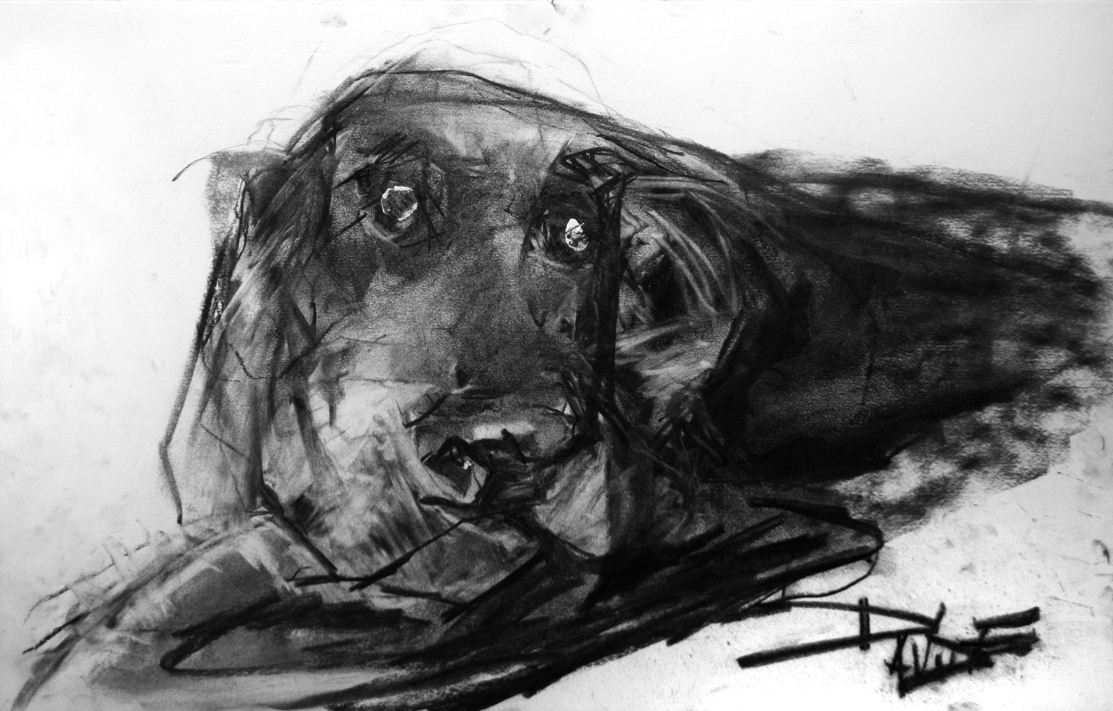 Valerie Davide Dogs originals