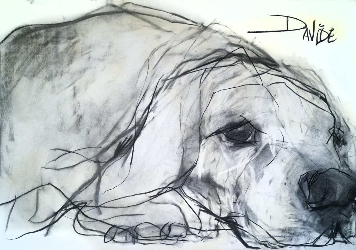 Valerie Davide Dogs originals