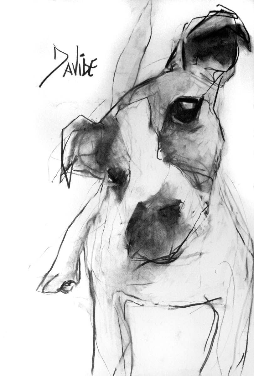 Valerie Davide Dogs originals