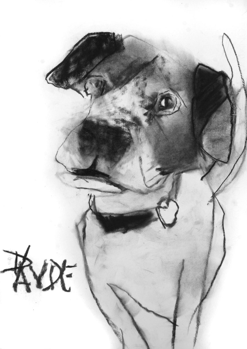 Valerie Davide Dogs originals