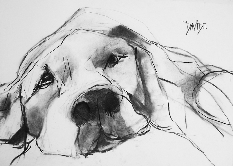 Valerie Davide | Prints | Davidson Fine Art