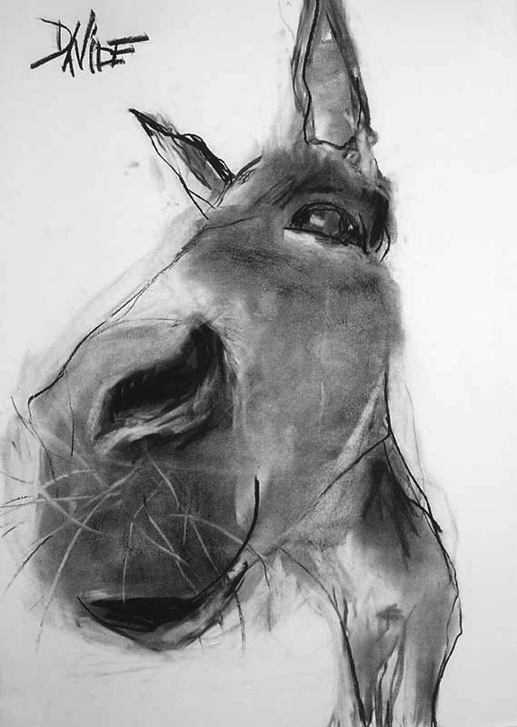 Valerie Davide | Prints | Davidson Fine Art