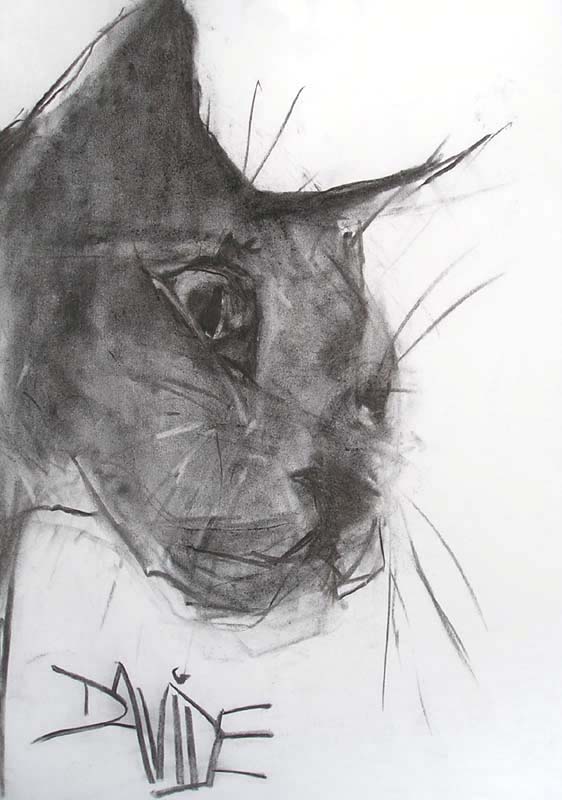 Valerie Davide | Prints | Davidson Fine Art